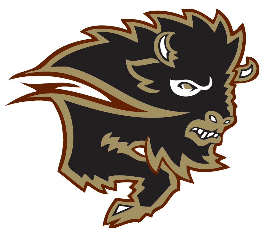 Bisons win Canadian University women's volleyball title